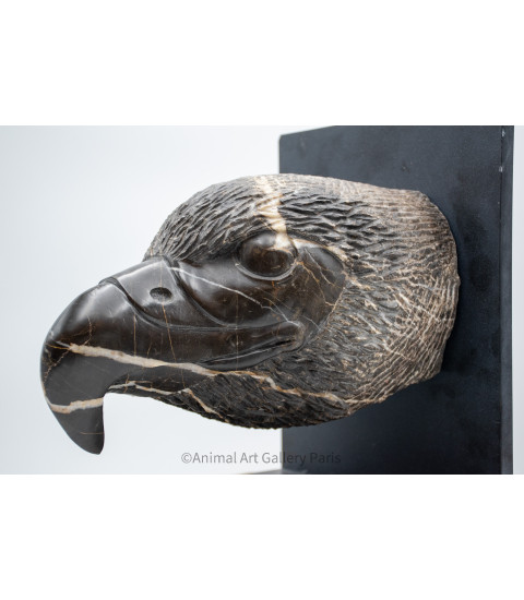 Sculpture | Tête de faucon | Yann Fustec | Animal-Art-Gallery-Paris