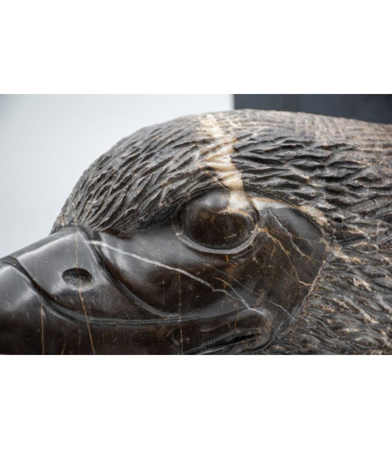 Sculpture | Tête de faucon | Yann Fustec | Animal-Art-Gallery-Paris