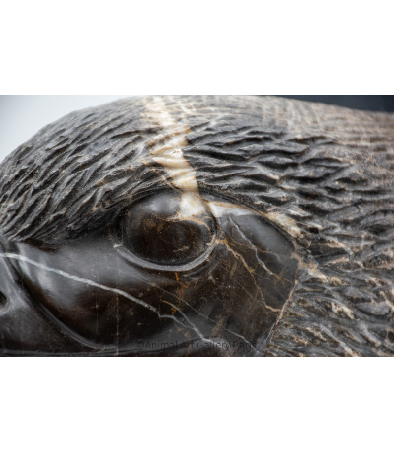 Sculpture | Tête de faucon | Yann Fustec | Animal-Art-Gallery-Paris