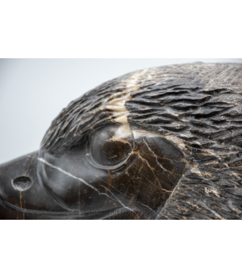 Sculpture | Tête de faucon | Yann Fustec | Animal-Art-Gallery-Paris