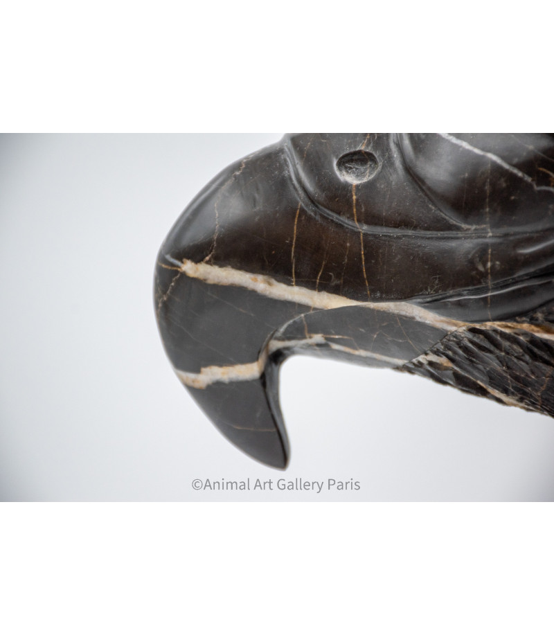 Sculpture | Tête de faucon | Yann Fustec | Animal-Art-Gallery-Paris