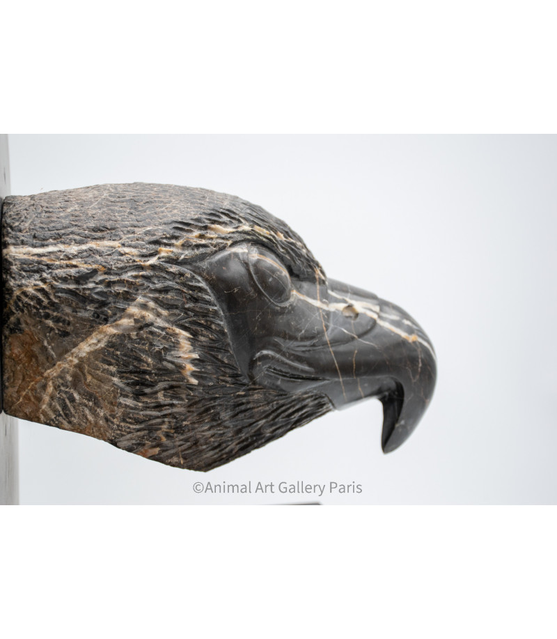 Sculpture | Tête de faucon | Yann Fustec | Animal-Art-Gallery-Paris