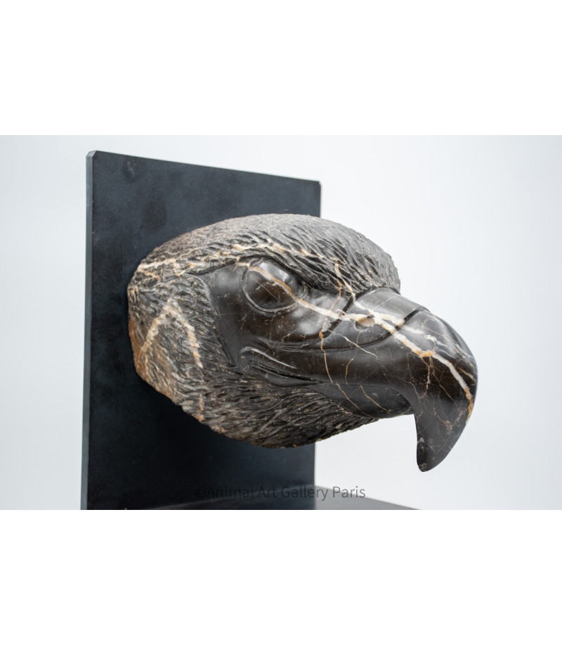 Sculpture | Tête de faucon | Yann Fustec | Animal-Art-Gallery-Paris