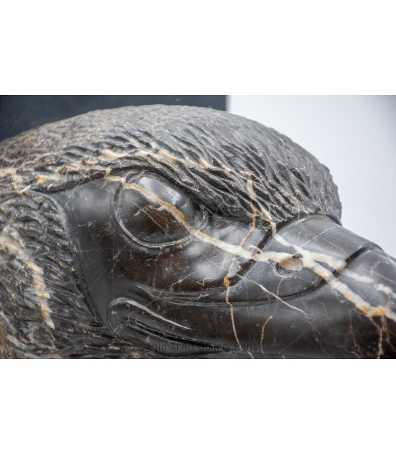 Sculpture | Tête de faucon | Yann Fustec | Animal-Art-Gallery-Paris